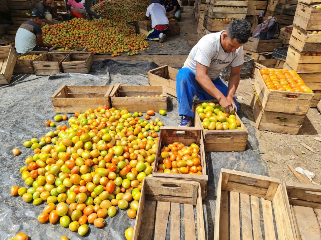 HomeS - Latin America